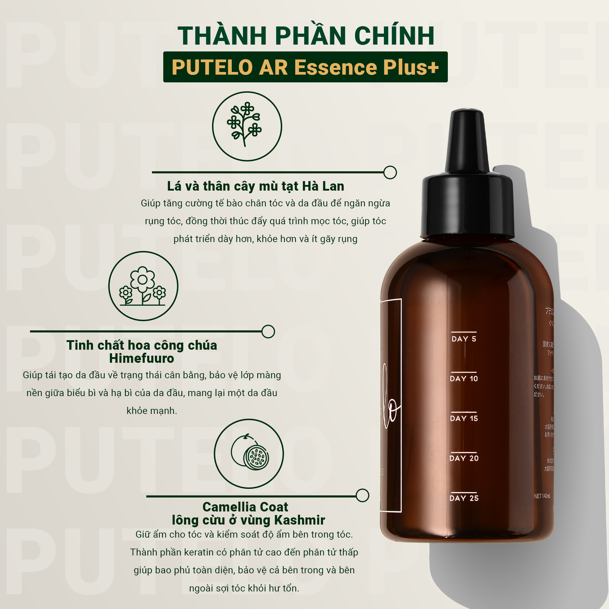 Combo Liệu Trình 1 Tháng Nước Thần Giảm Rụng Tóc, Hỗ Trợ Mọc Tóc, Tái Sinh 3 Tầng Da đầu, Trẻ ...